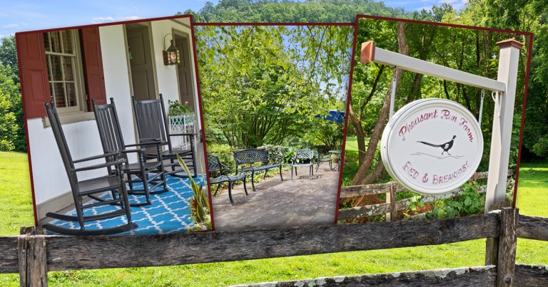 A Relaxing Weekend Escape: Your Guide to a Stay at Pheasant Run Farm B ...